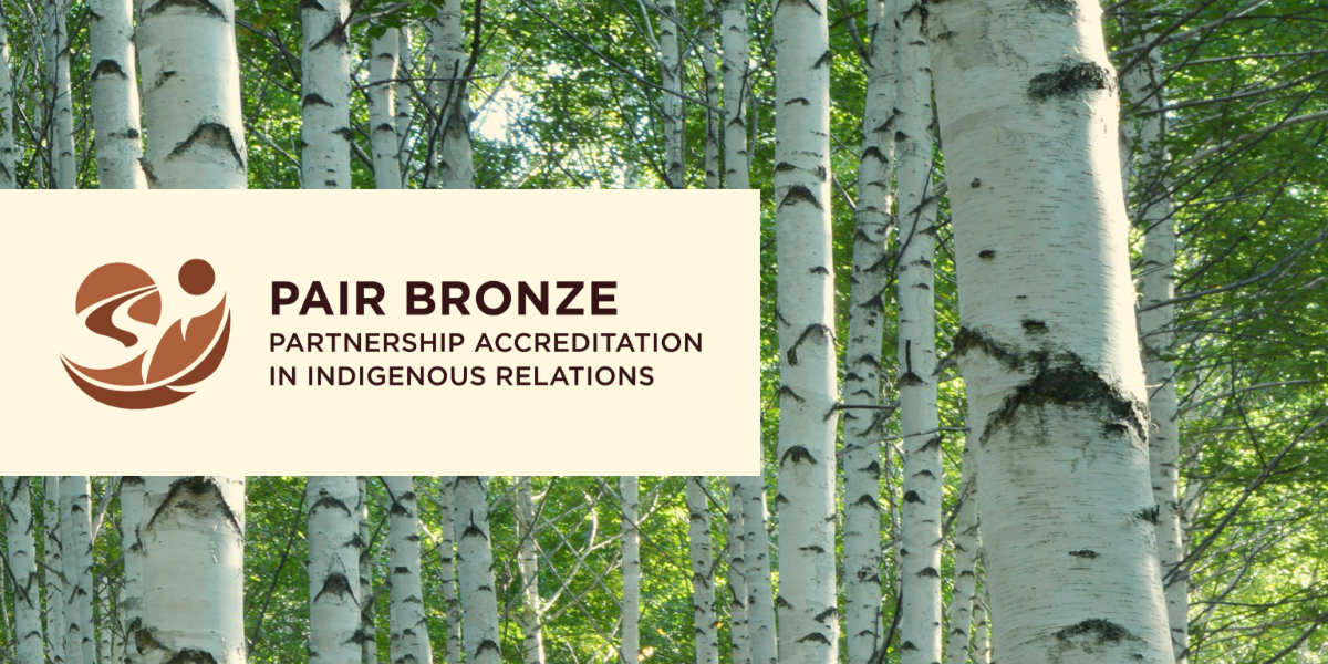 Sun Life Canada achieves bronze certification in PAIR | Sun Life